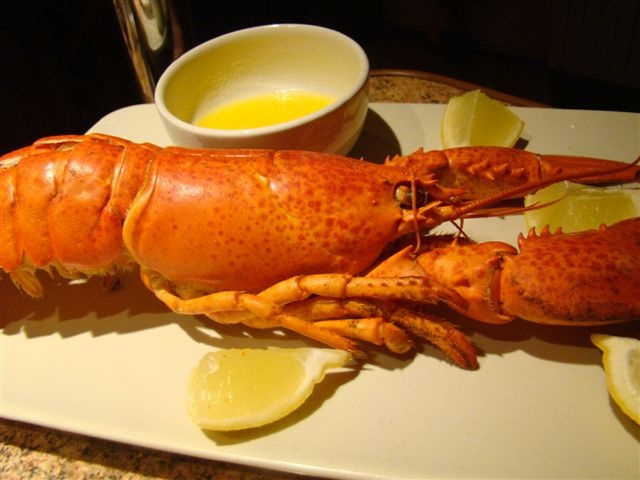 Homar - pierwsze starcie - przepis - Mojegotowanie.pl