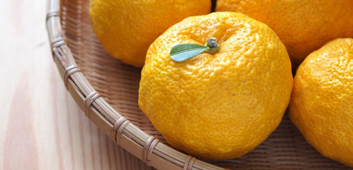 Yuzu – co to jest? - Mojegotowanie.pl