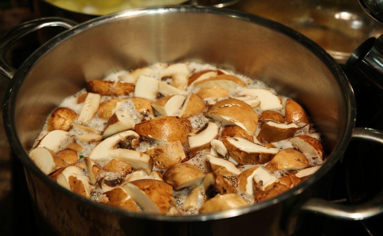 Jak gotować grzyby? - podpowiadamy! - Mojegotowanie.pl