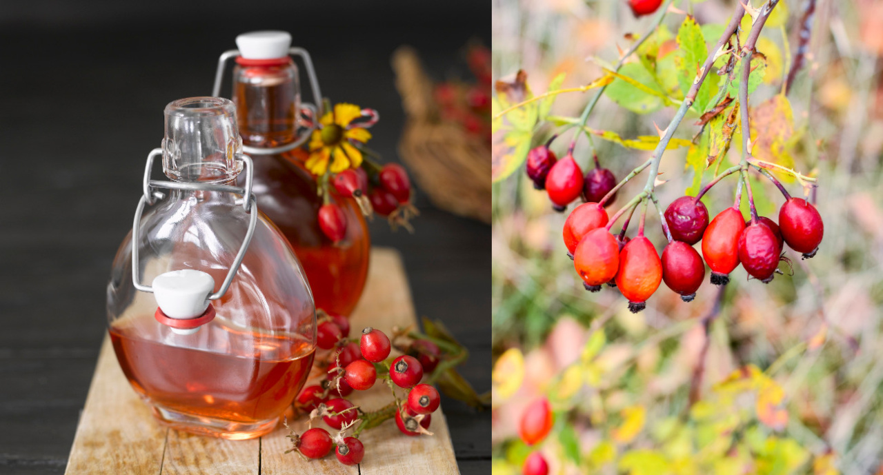 Nalewka z dzikiej róży - przepis - Mojegotowanie.pl