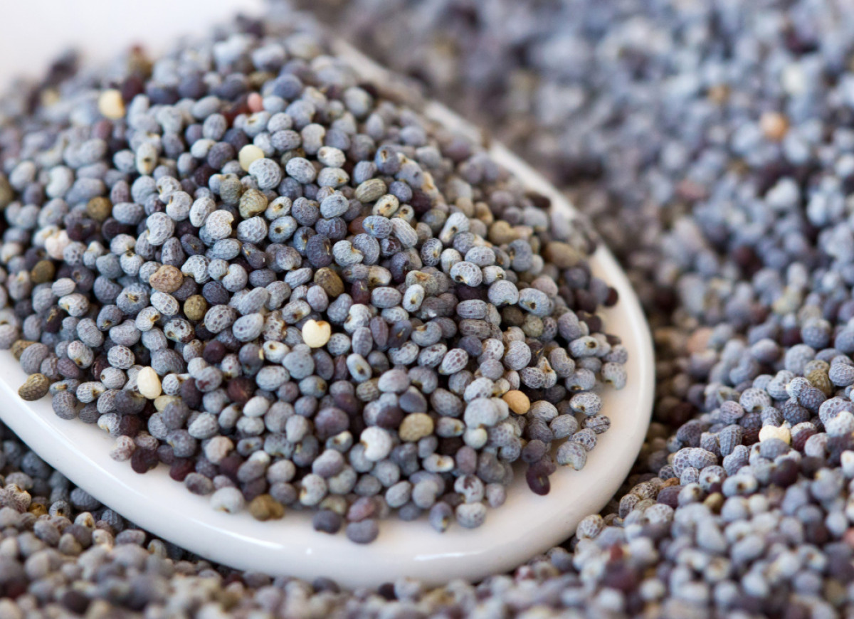 Te maleńkie ziarenka, to mak. Warto go jeść przez cały rok. Mocniejsze ...