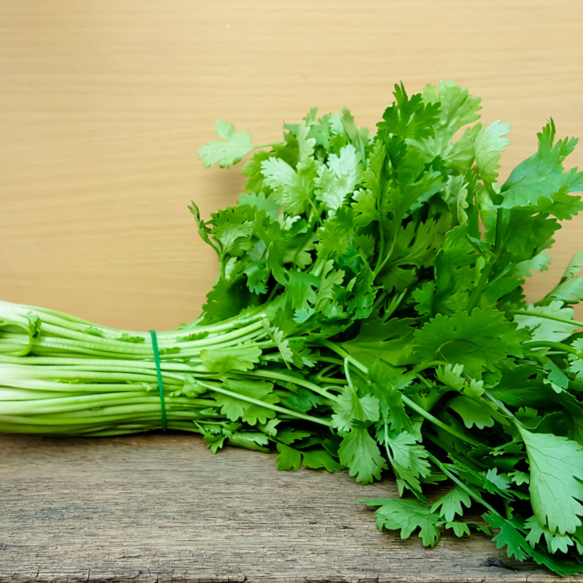 Kolendra do czego pasuje i jaki ma smak? - Mojegotowanie.pl