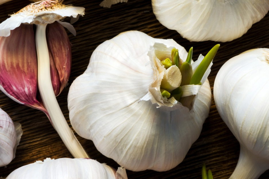 Jak odróżnić czosnek polski od chińskiego? Nie wydawajcie pieniędzy na ...
