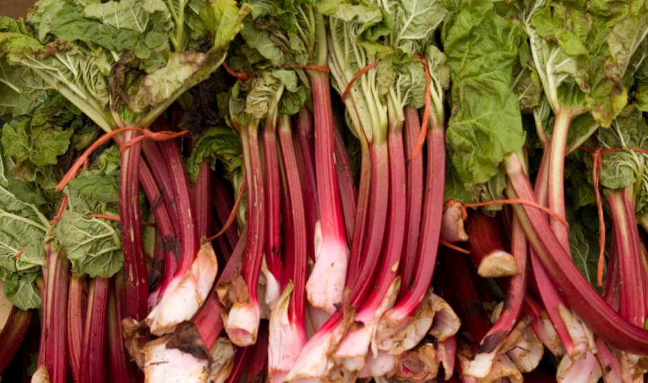 Z rabarbarem trzeba obchodzić się umiejętnie. W przeciwnym razie może ...