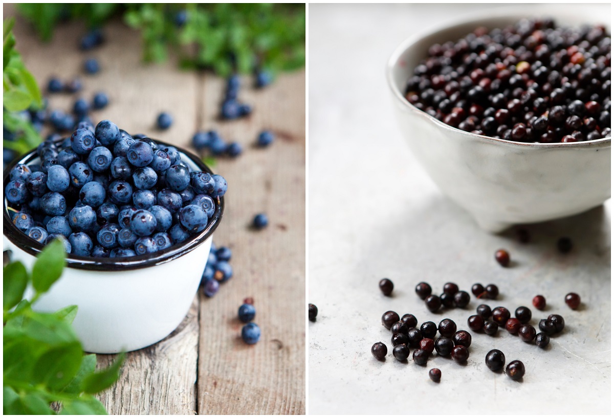 Czym się różni jagoda od borówki? To nie ten sam owoc! - Mojegotowanie.pl